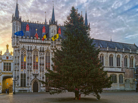 AEOU 欧开校友会 联系我们